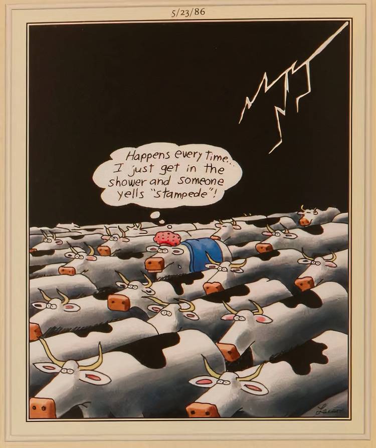 10 Best The Far Side Comics Featuring Cows, Ranked