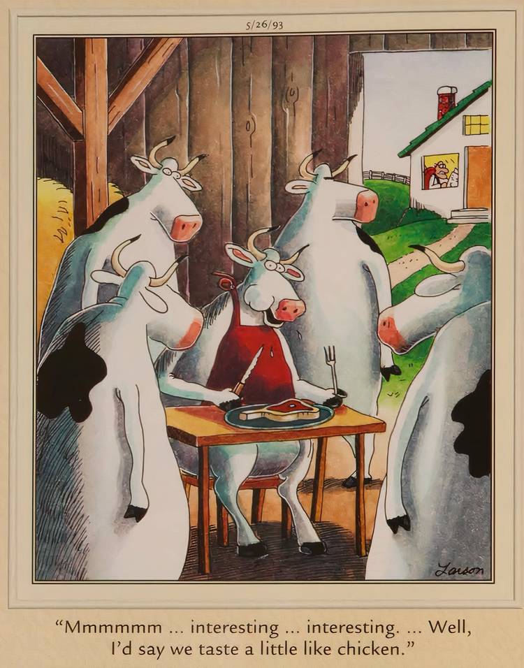10 Best The Far Side Comics Featuring Cows, Ranked