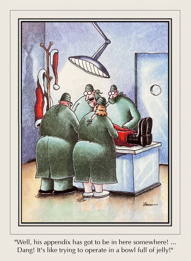 The Far Side's Best Santa Claus and Christmas Comic Strips
