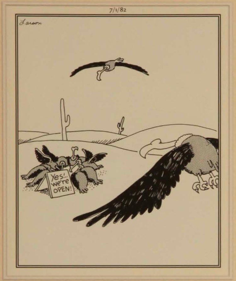 10 Best The Far Side Comics Featuring Vultures, Ranked