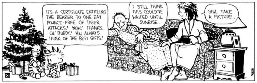 15 Calvin & Hobbes Comics Perfect For The Holidays