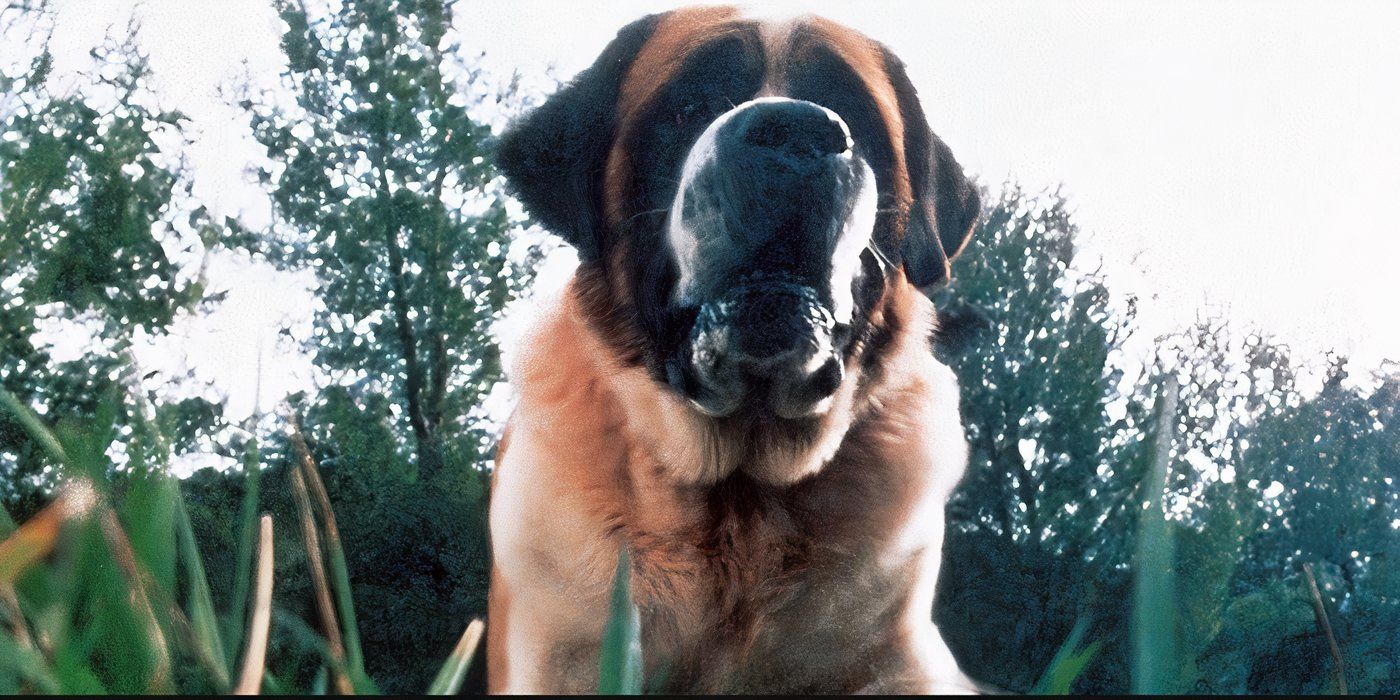 Official Voice of Naruto Was Meant to Sound Completely Different ...