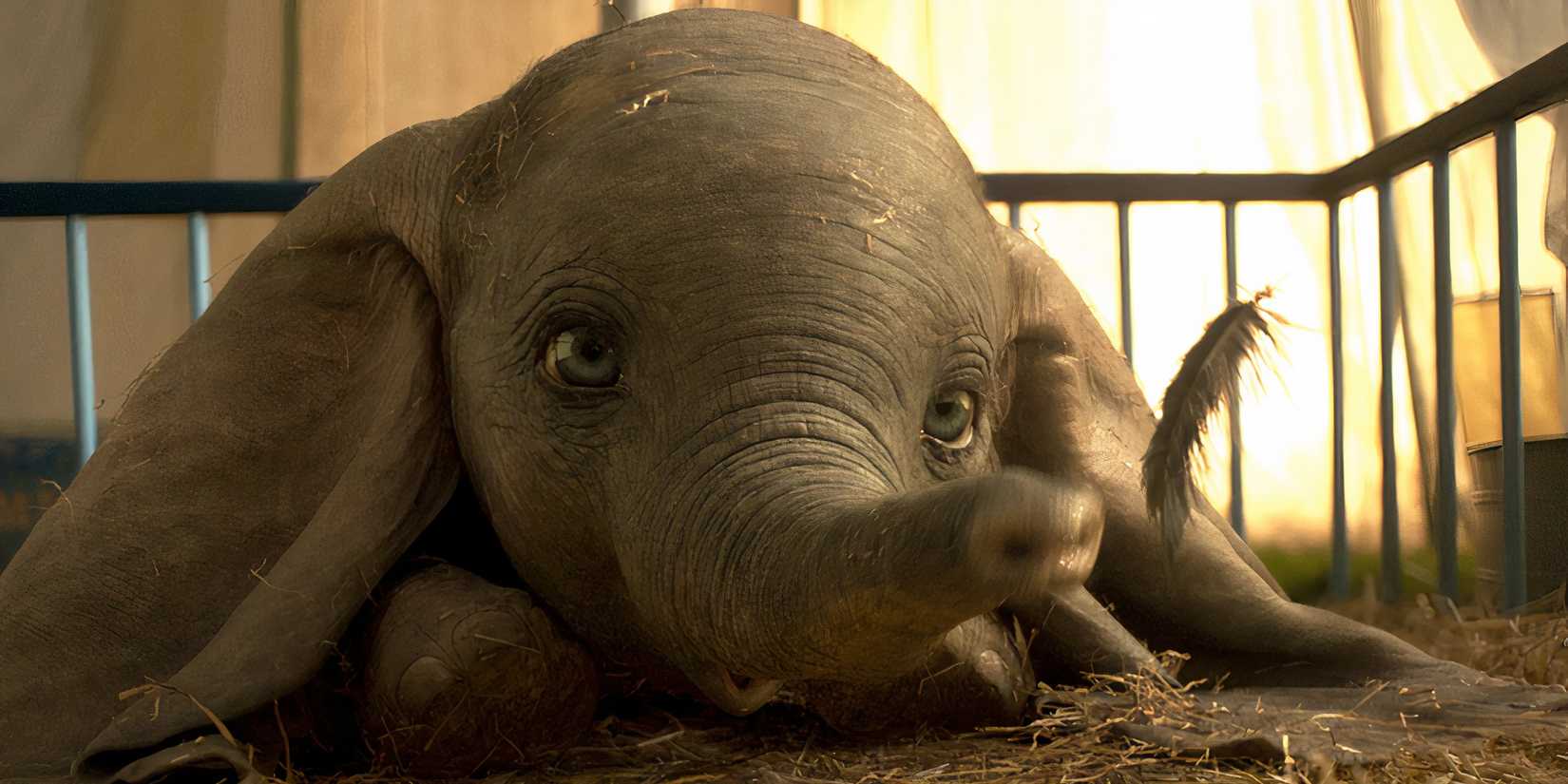 Disney's Top 10 Highest Grossing Live-Action Remakes