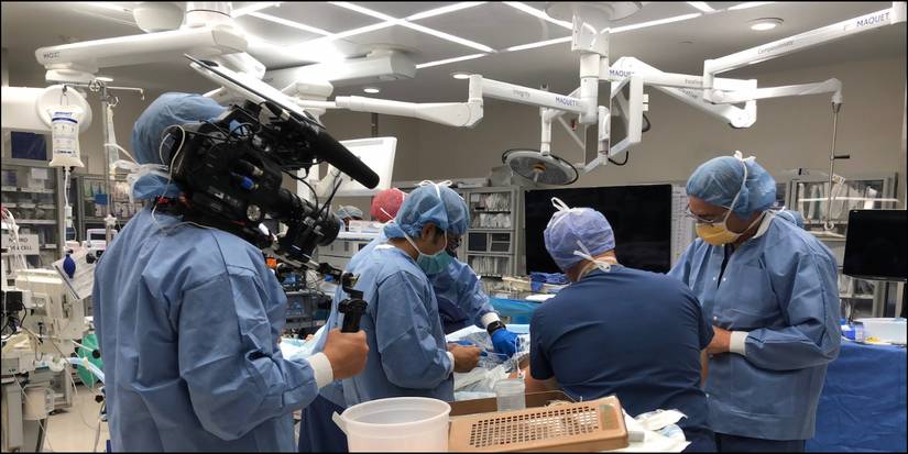 The Best Medical Dramas of the 2020s, Ranked