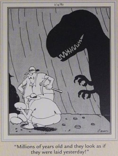 10 Darkest The Far Side Comics About Dinosaurs, Ranked