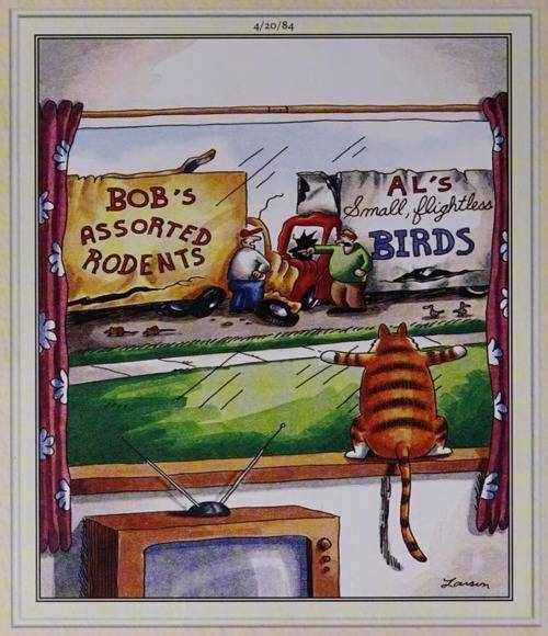 10 Best The Far Side Comics From 1984, Ranked