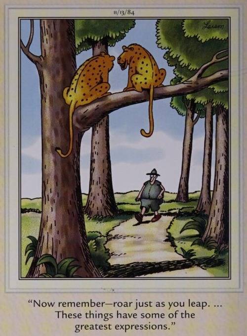 10 Best The Far Side Comics From 1984, Ranked