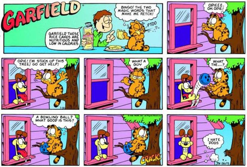10 Best Odie Garfield Comic Strips, Ranked