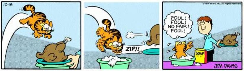 10 Early Garfield Comic Strips That Are Still Absolutely Hilarious