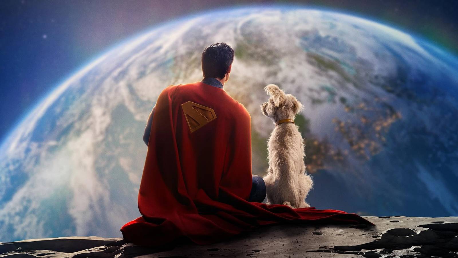 The Incredible Impact Superman is Having on Dogs