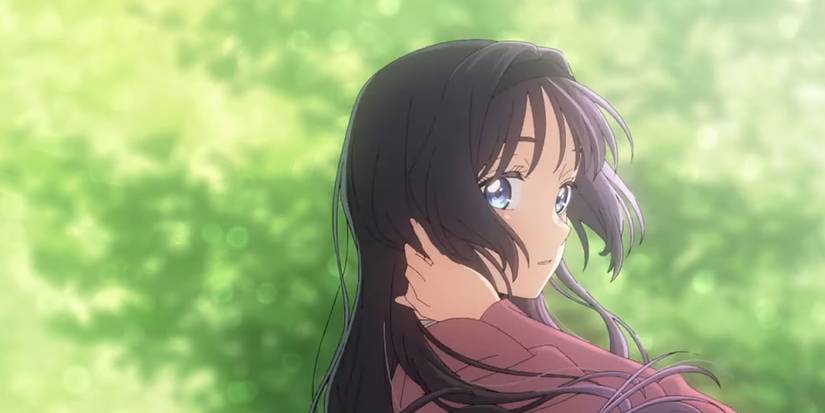 Everything You Need To Know About The Fragrant Flower Blooms with ...