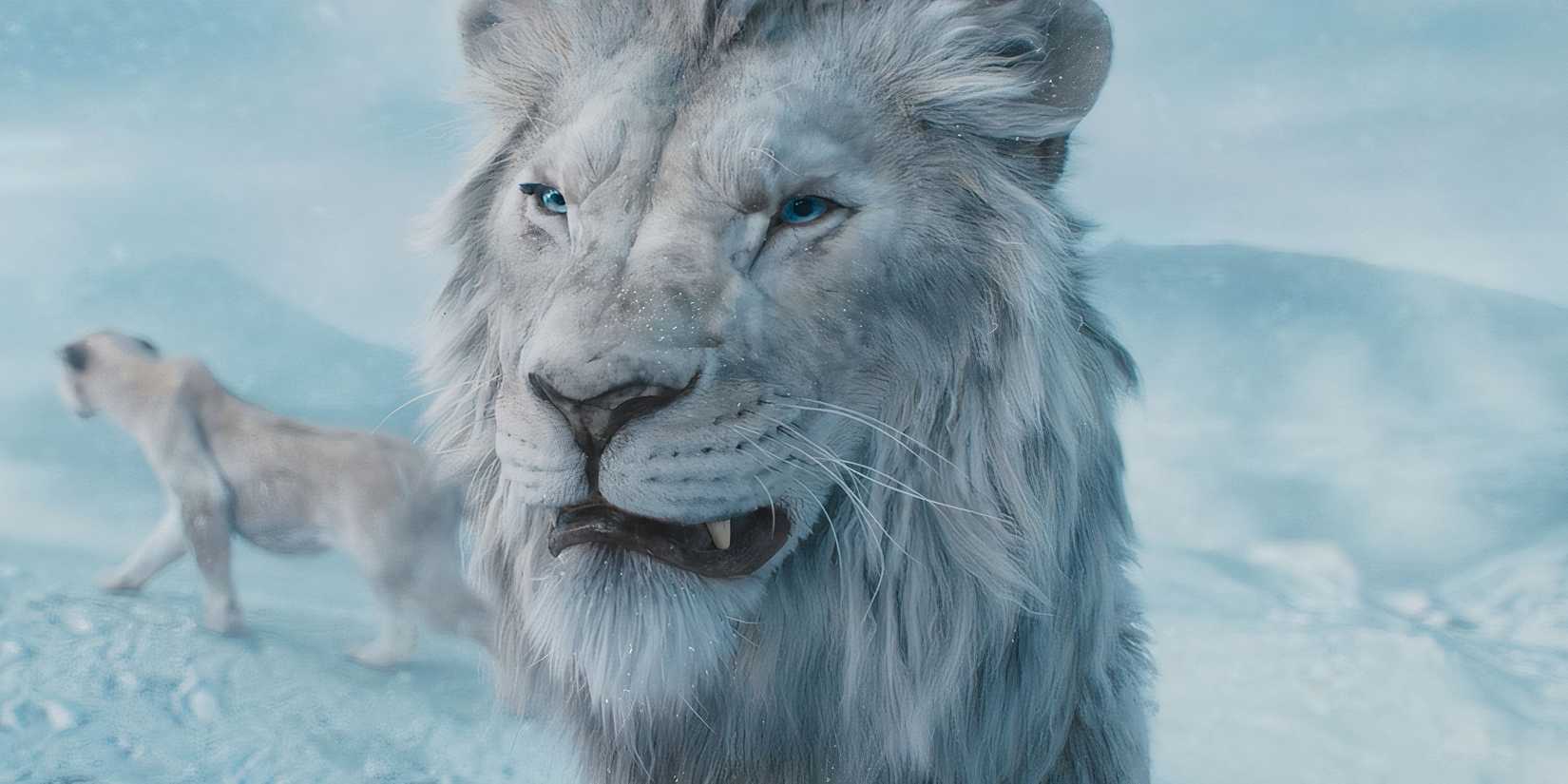 How Mufasa Connects to Disney's The Lion King, Explained