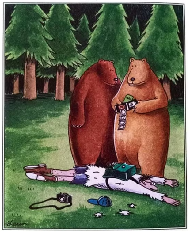 The Far Side's 20 Greatest Wordless Comics of All Time