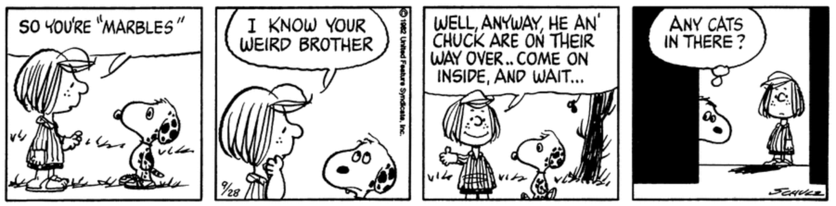 10 Funniest Peanuts Comics Featuring Snoopy's Family, Ranked