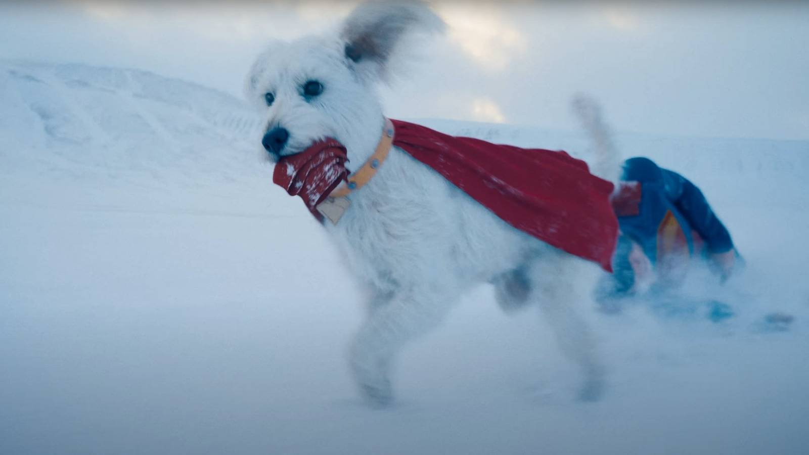 James Gunn Reveals Real-Life Inspiration for Superman's Krypto in Viral ...