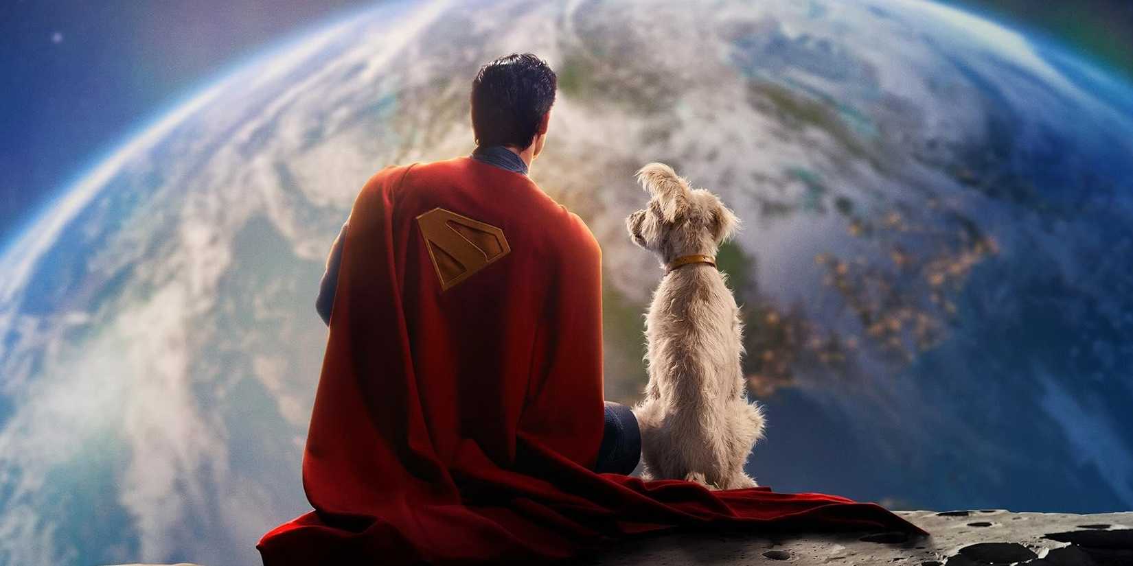 The Mystery of Krypto's Real Owner, Explained