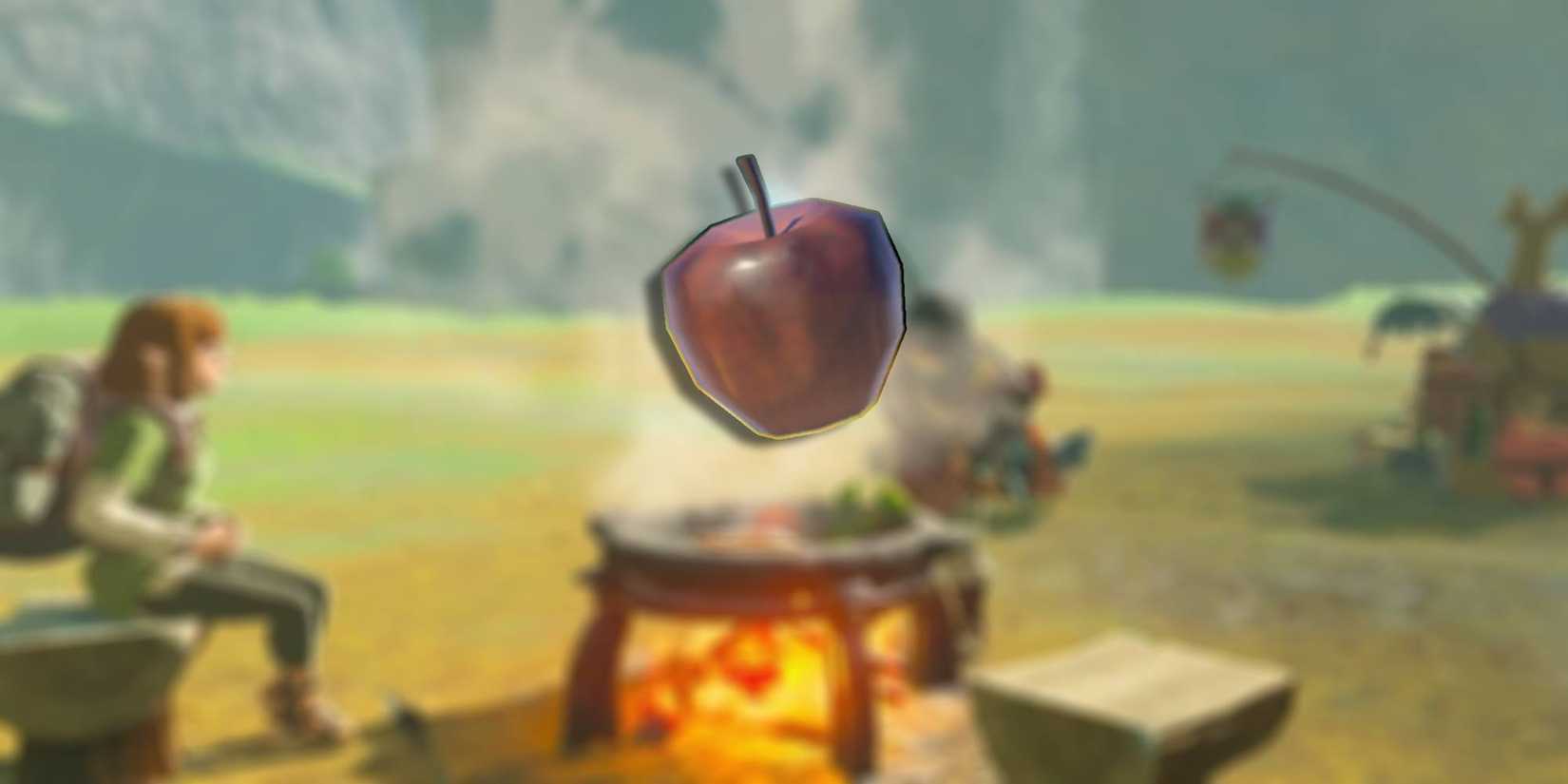 Zelda BOTW: Best Food Dishes to Cook for Beginners