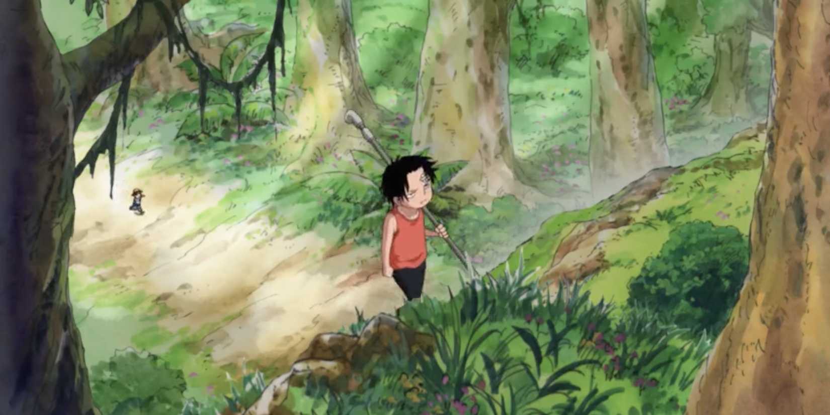 10 Most Beautiful One Piece Settings, Ranked