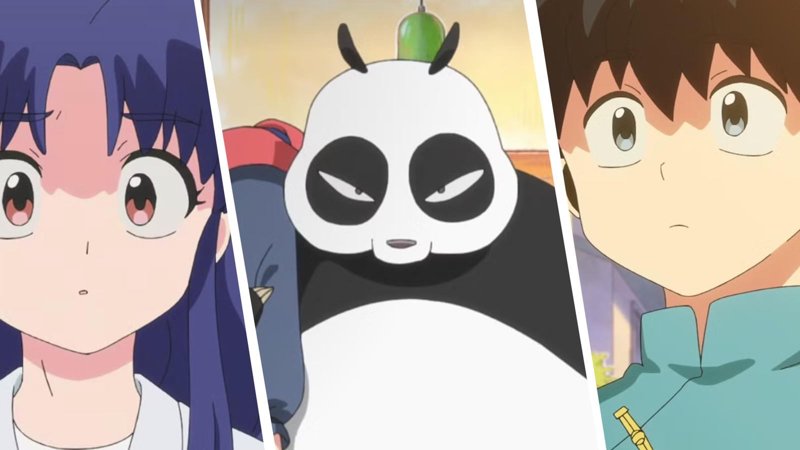 10 Most Lovable Characters in Ranma 1/2 Season 1, Ranked