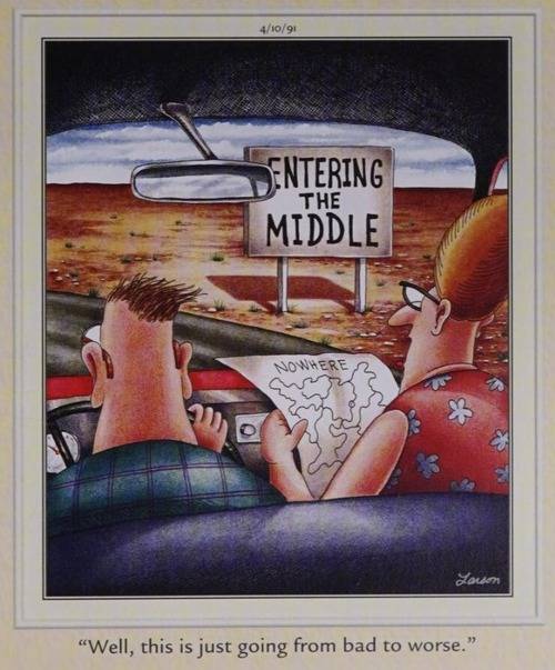 10 Funniest Far Side Comics About Vacations Gone Wrong