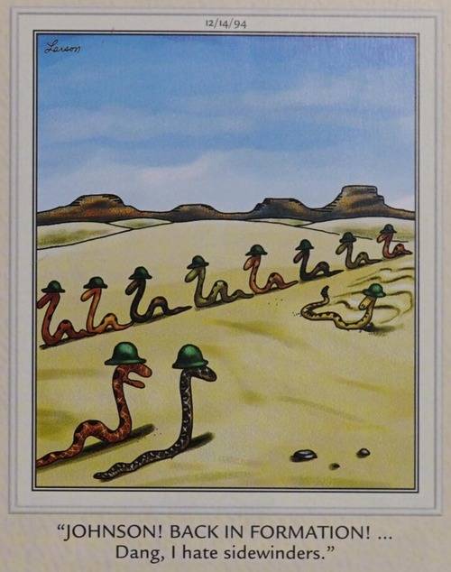 10 Hilarious Far Side Comics About Soldiers