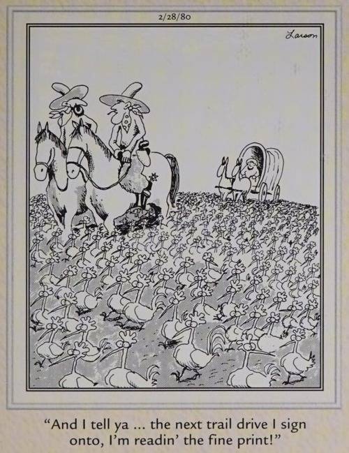 15 Funniest The Far Side Comics Featuring Chickens, Ranked