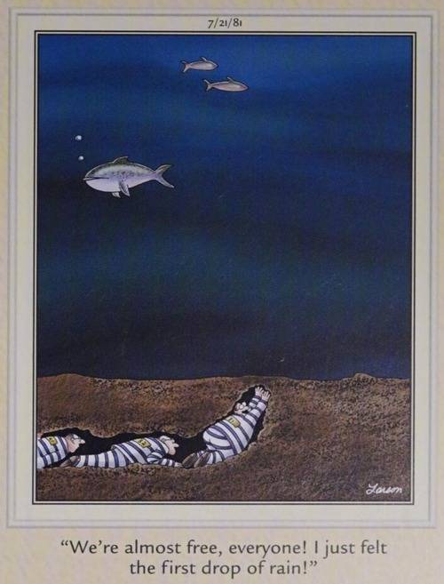 10 Hilarious Far Side Comics About the Ocean