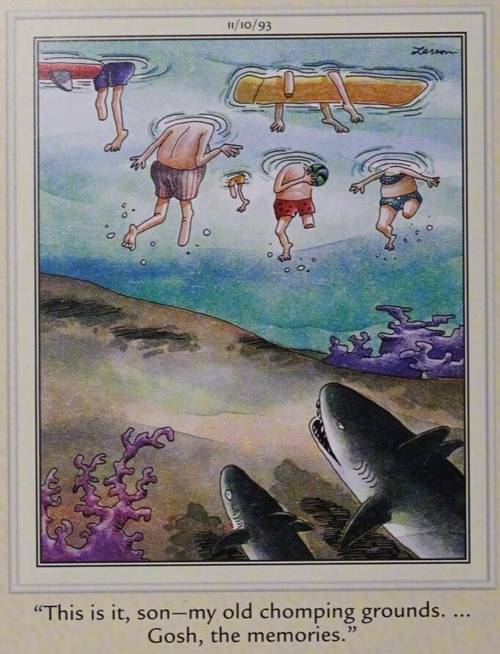 10 Hilarious Far Side Comics About the Ocean