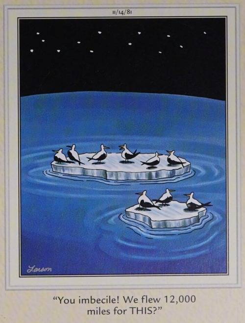 10 Hilarious Far Side Comics About the Ocean