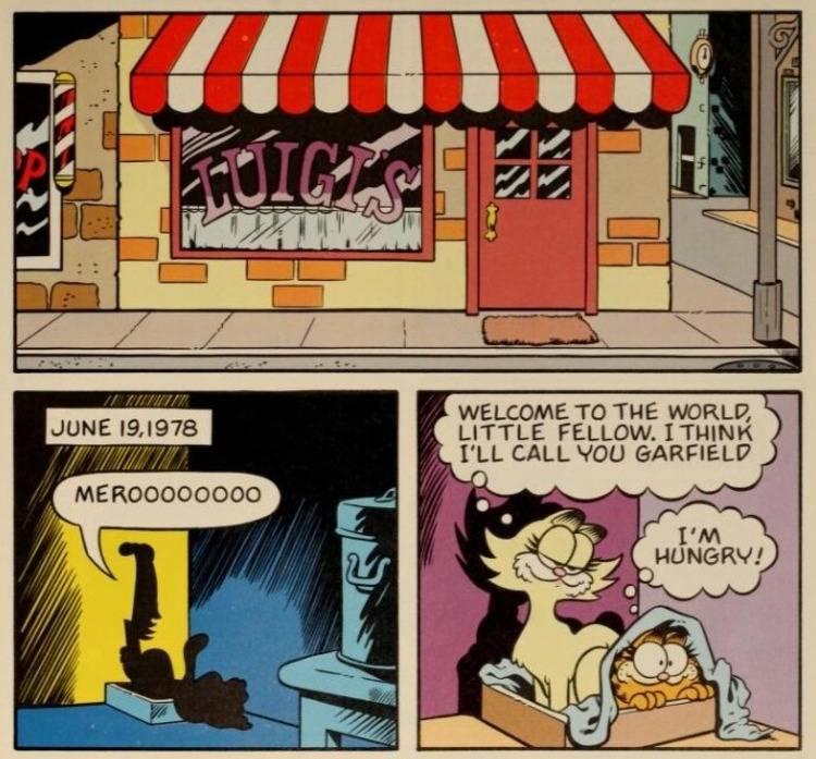garfield comic facts
