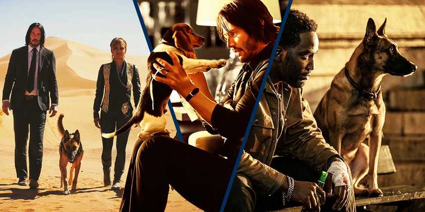 A Single Throwaway Scene in Chapter 2 Is Secretly John Wick's Most ...
