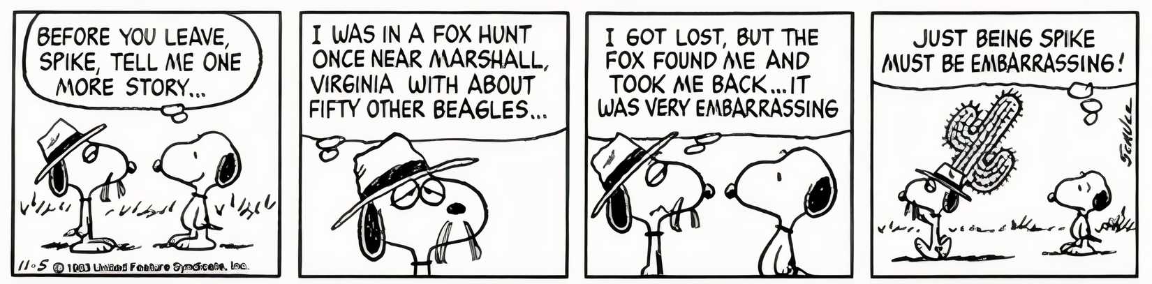 10 Best Peanuts Comics Featuring Snoopy's Brother Spike