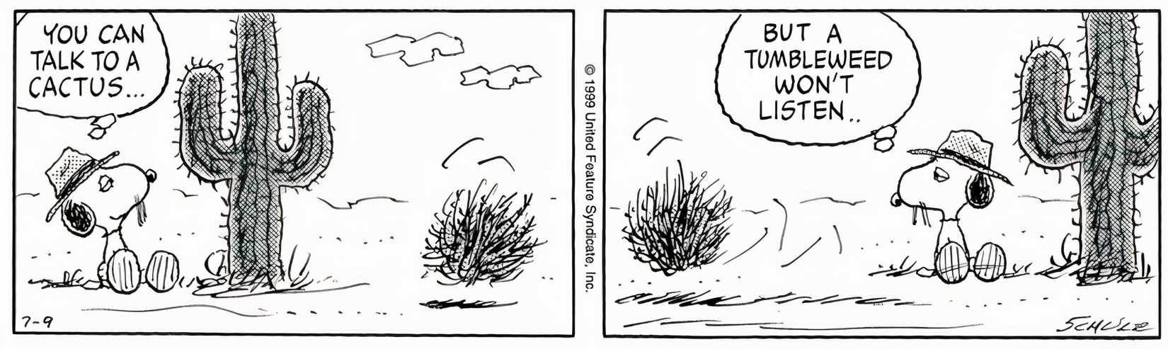 10 Best Peanuts Comics Featuring Snoopy's Brother Spike