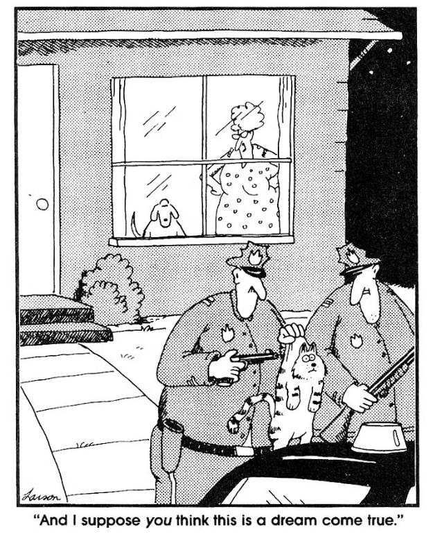 20 Best The Far Side Comics About Cats