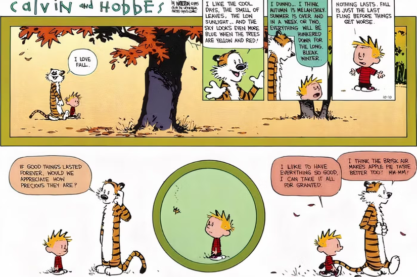 15 Best Calvin and Hobbes Comics About the Environment, Ranked