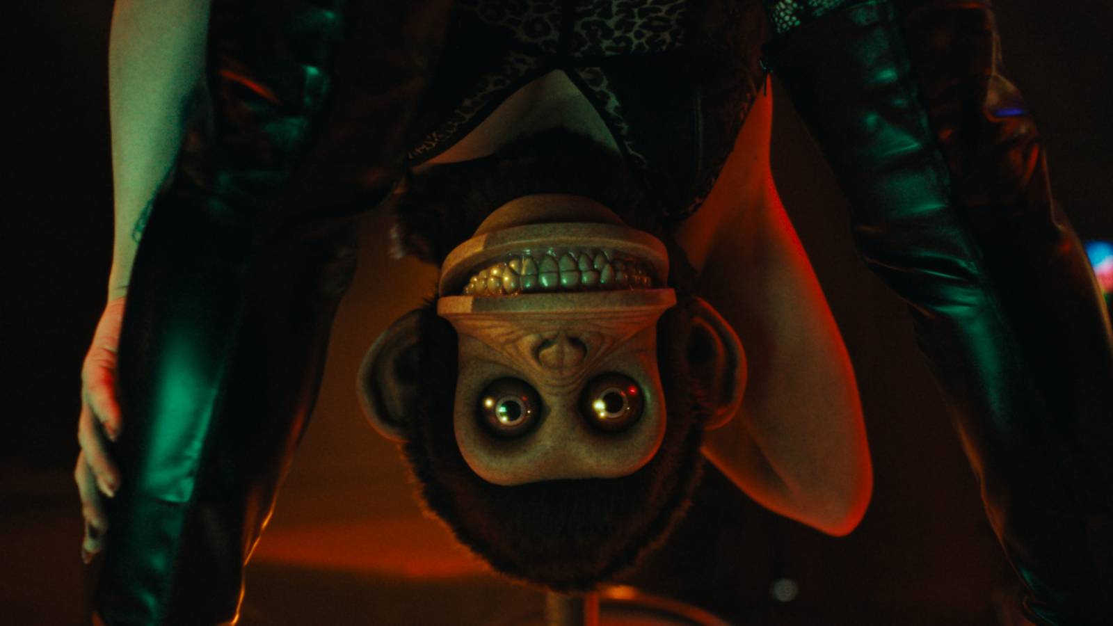 The Monkey Is a Gruesome Horror-Comedy With a Honest Message