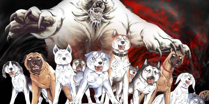 10 Best Manga With Animal Protagonists, Ranked