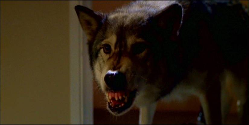 10 Controversial X-Files Episodes Fans Love to Hate