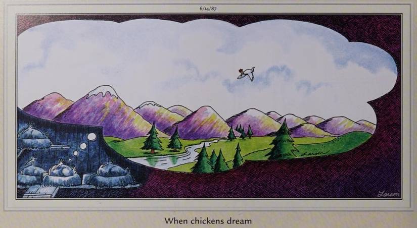 10 Funniest Far Side Comics That'll Make You Rethink Nature