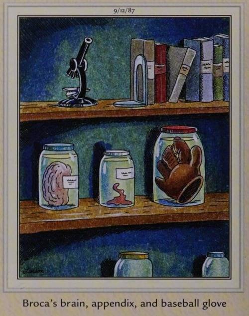 10 Bizarre The Far Side Comic Strips That Only Make Sense to Gary Larson