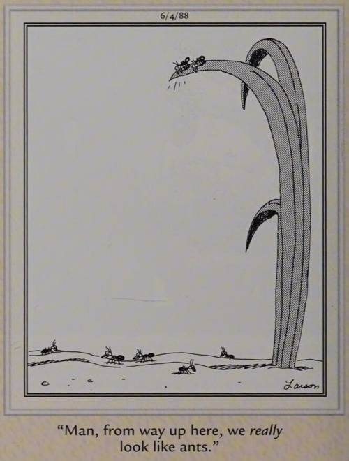 10 Best Far Side About The Beauty (& Humor) of Nature