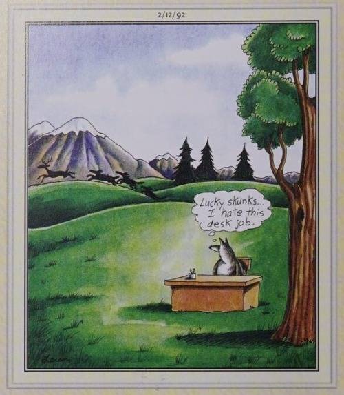 10 Best Far Side About The Beauty (& Humor) of Nature