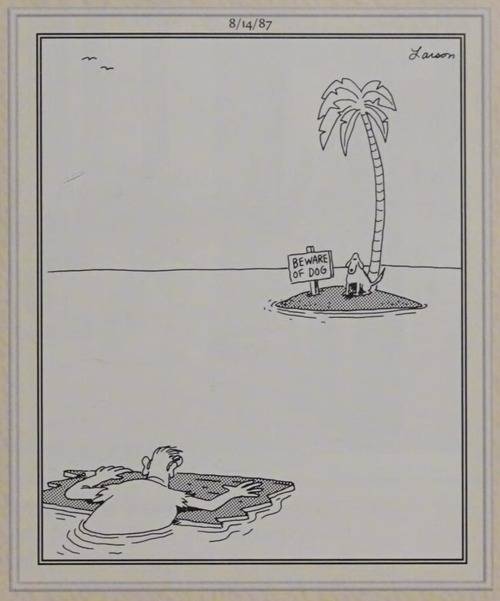 10 Best Far Side Comics Where Characters Are Hopelessly Lost At Sea