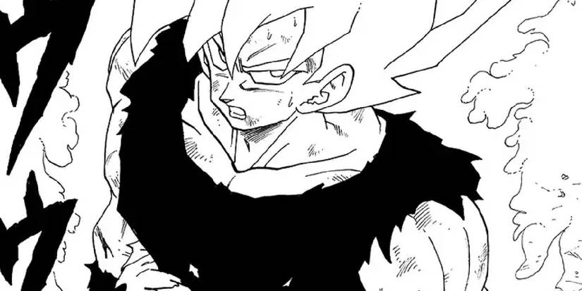 10 Action Panels Akira Toriyama Drew in the Dragon Ball Manga That Pack ...