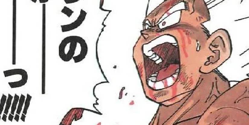 10 Action Panels Akira Toriyama Drew in the Dragon Ball Manga That Pack ...