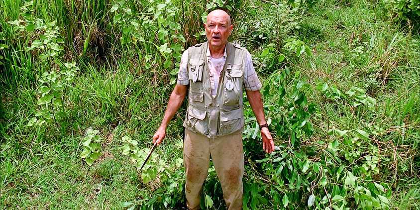 Who Is Ethan in Lost? William Mapother’s Character, Explained