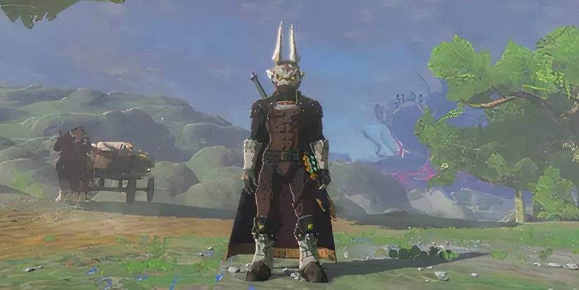 TOTK: 15 Easter Eggs From Previous Zelda Games