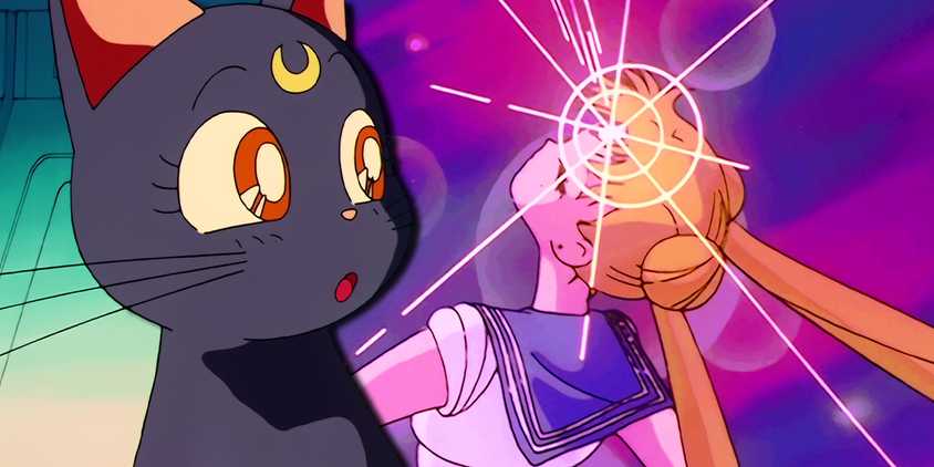 What Happened to Sailor Saturn? The God of Destruction's Fate in Sailor ...