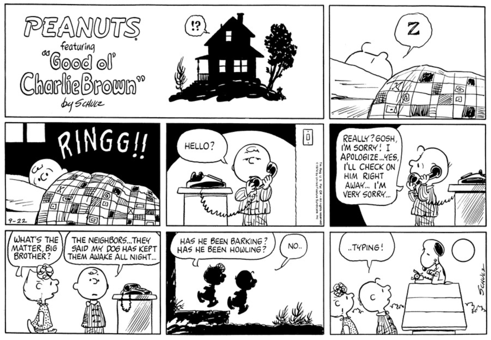 10 Best Peanuts Comics That Wake Charlie Brown Up