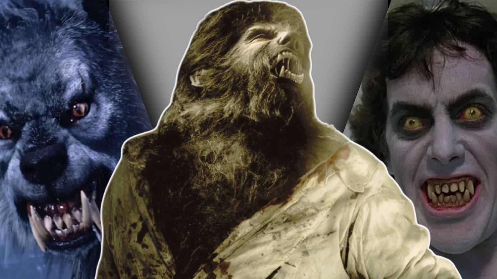 10 Great Werewolf Movies to Watch if You Loved Wolf Man
